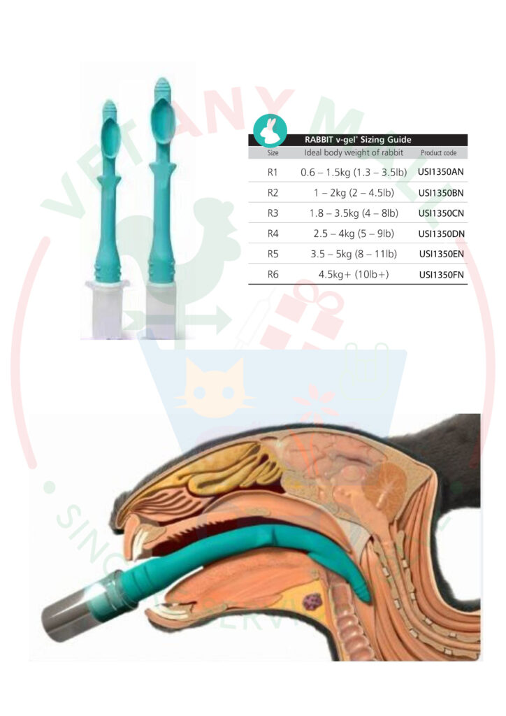 Endotracheal tube RABBIT (V-Gel) – VETANYMALL